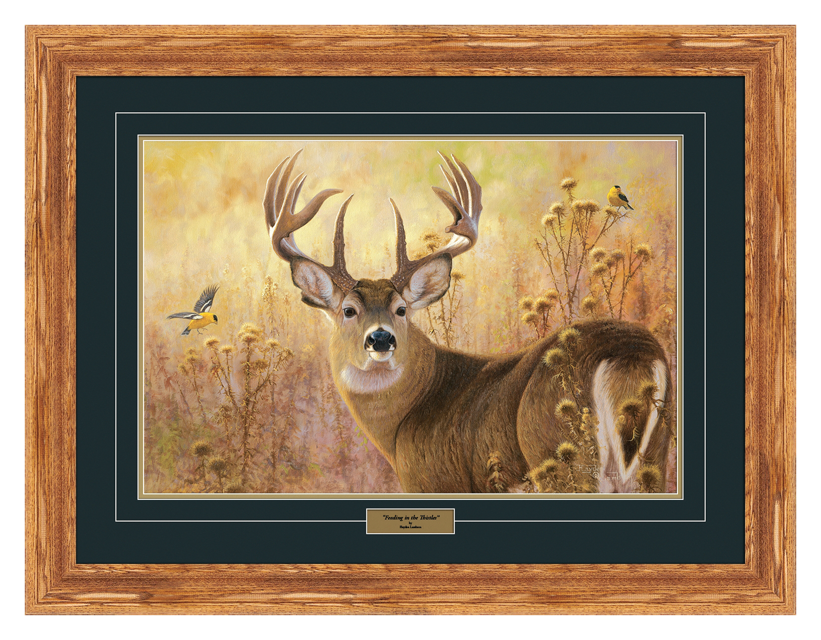 Hayden Lambson Feeding in the Thistles Framed Autographed Artwork ...